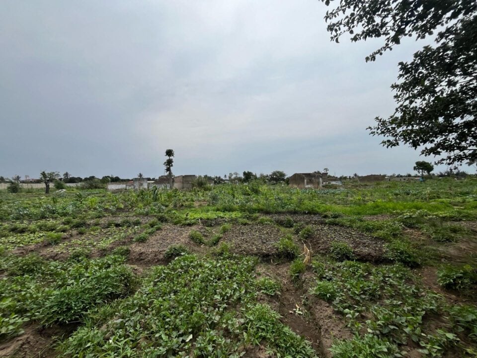 Sale of 2.5 Hectare Land in Machava